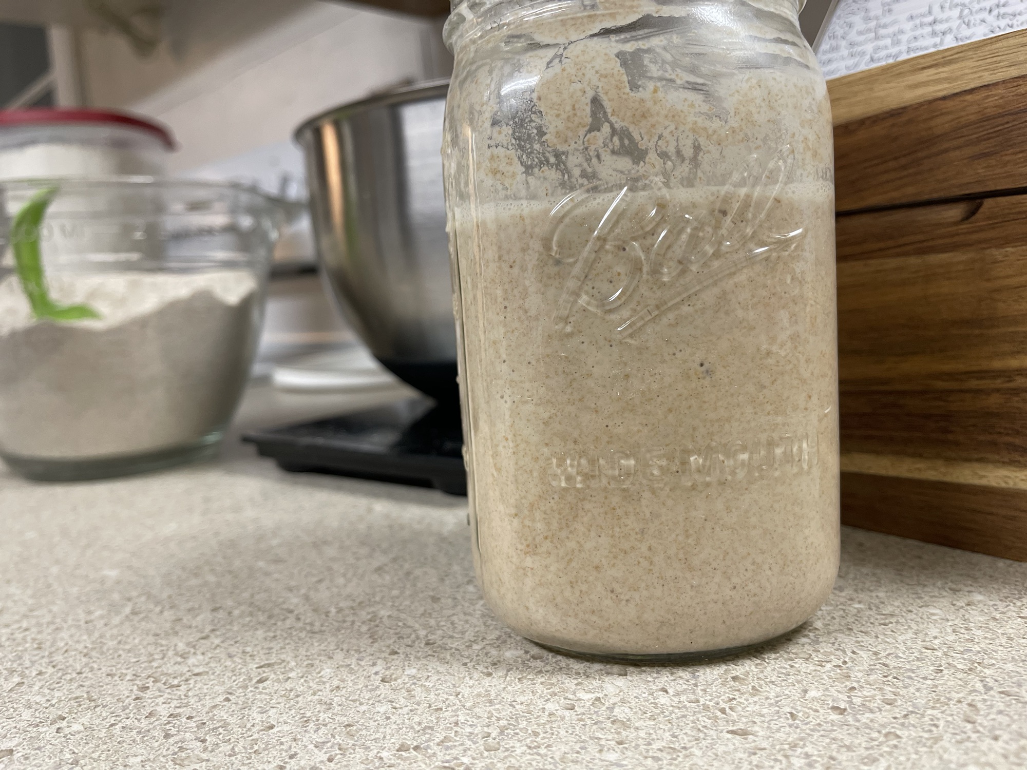 Sourdough Starter Recipe – Shianna Maplesden